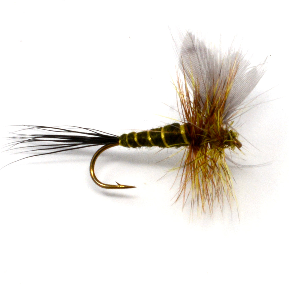 Green Drake– Deschutes Angler Fly Shop