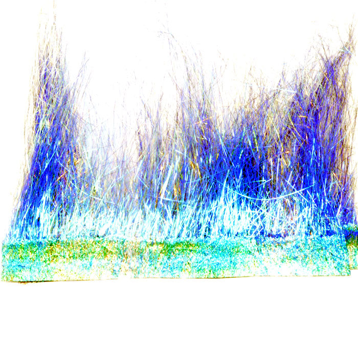 Hareline Dubbin Ice Dub Minnow Back Shimmer Fringe– Deschutes Angler ...