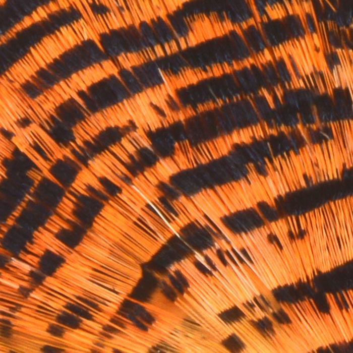 Nature's Spirit Golden Pheasant Tippet– Deschutes Angler Fly Shop