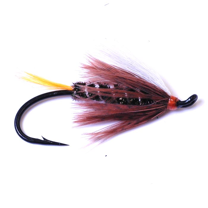 Steelhead Coachman– Deschutes Angler Fly Shop